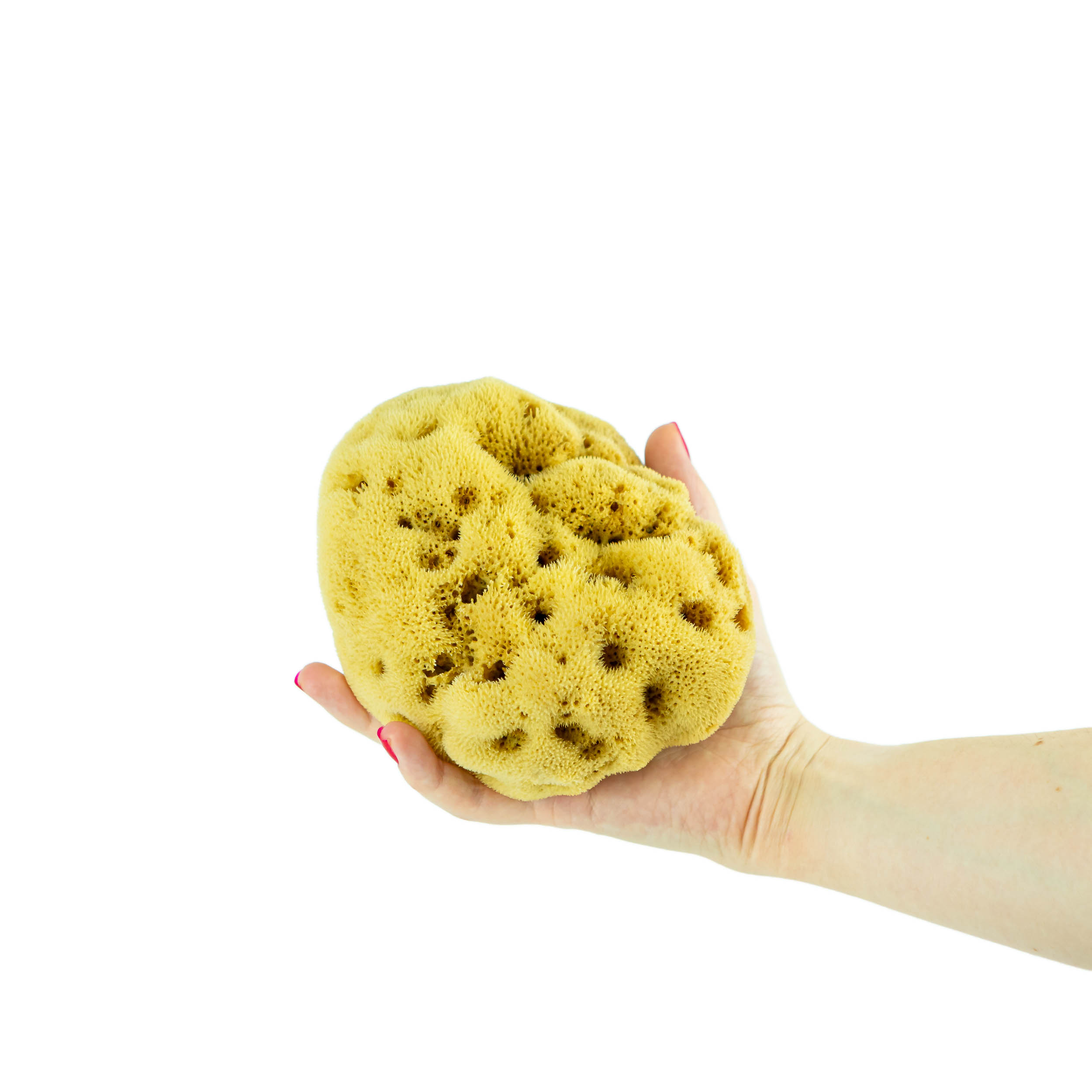 FINO SILK (spongia adriatica) - Thelandofcorfu