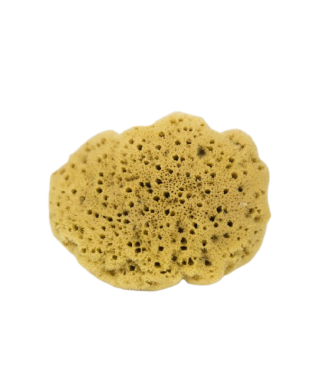 FINA SILK sponge - Thelandofcorfu